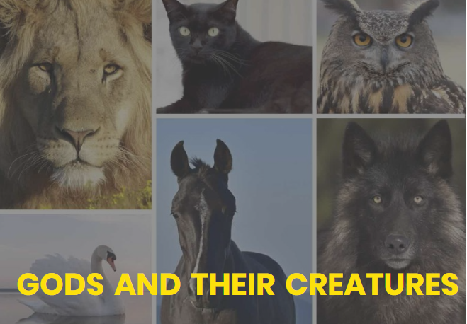 Gods and their creatures – Grass Root Level